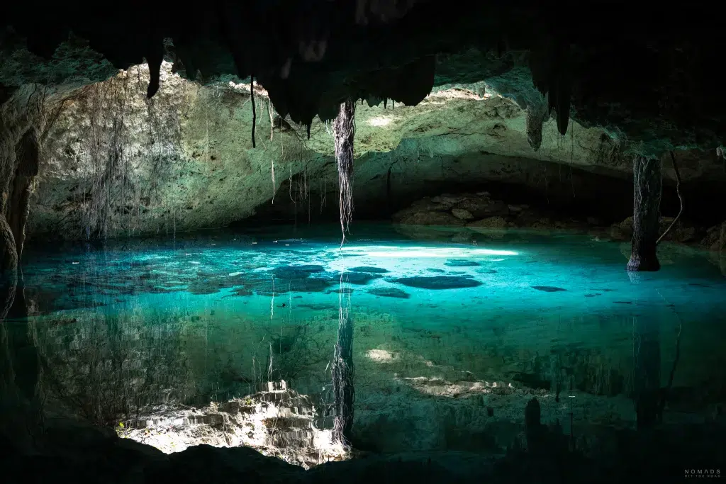 Cenoten bei Tulum: Highlights & Tipps für deine Mexiko Reise